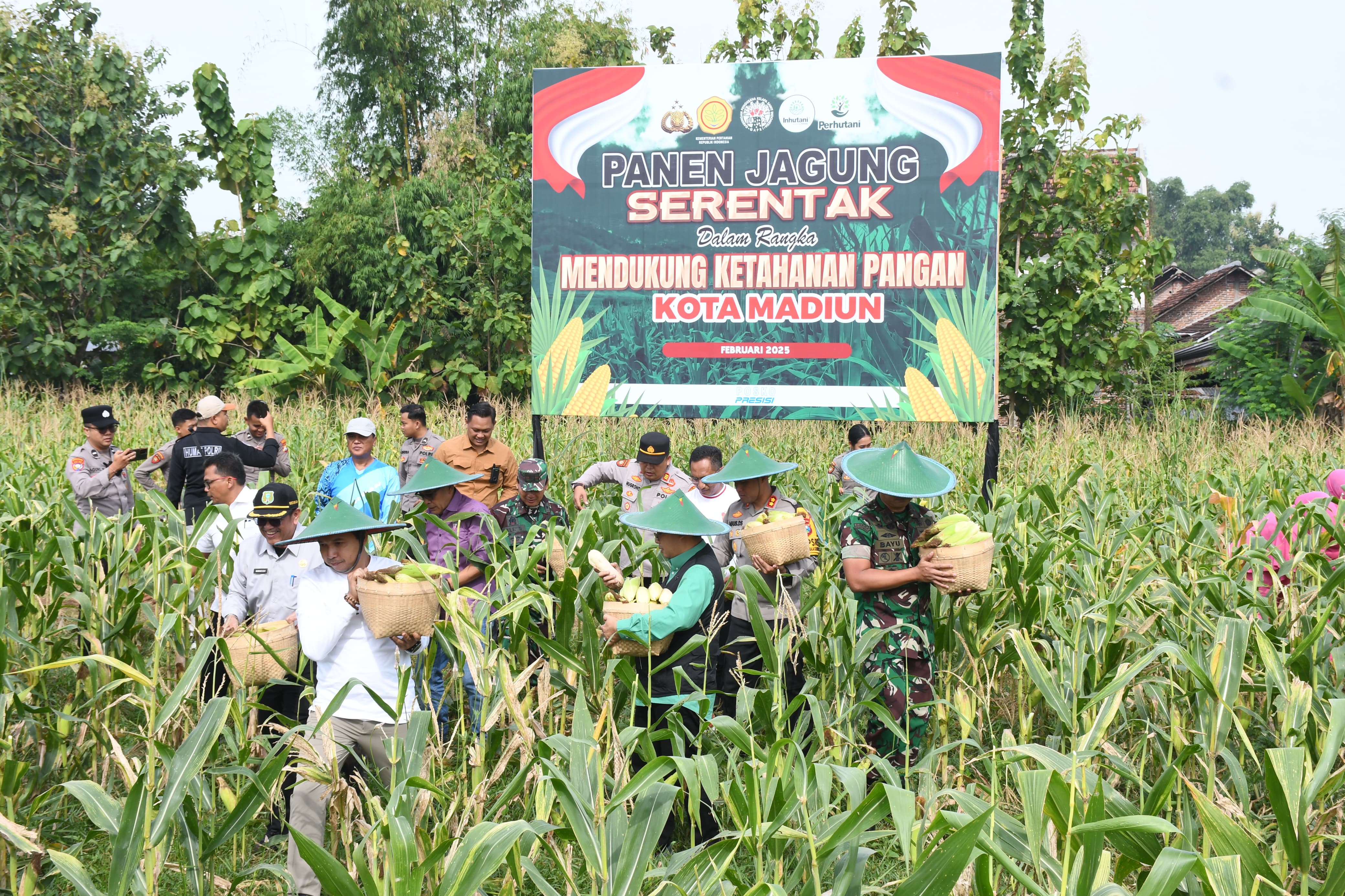 Panen Raya Jagung Serentak di Kota Madiun, Dukungan Terhadap Program Asta Cita Presiden RI dan ...